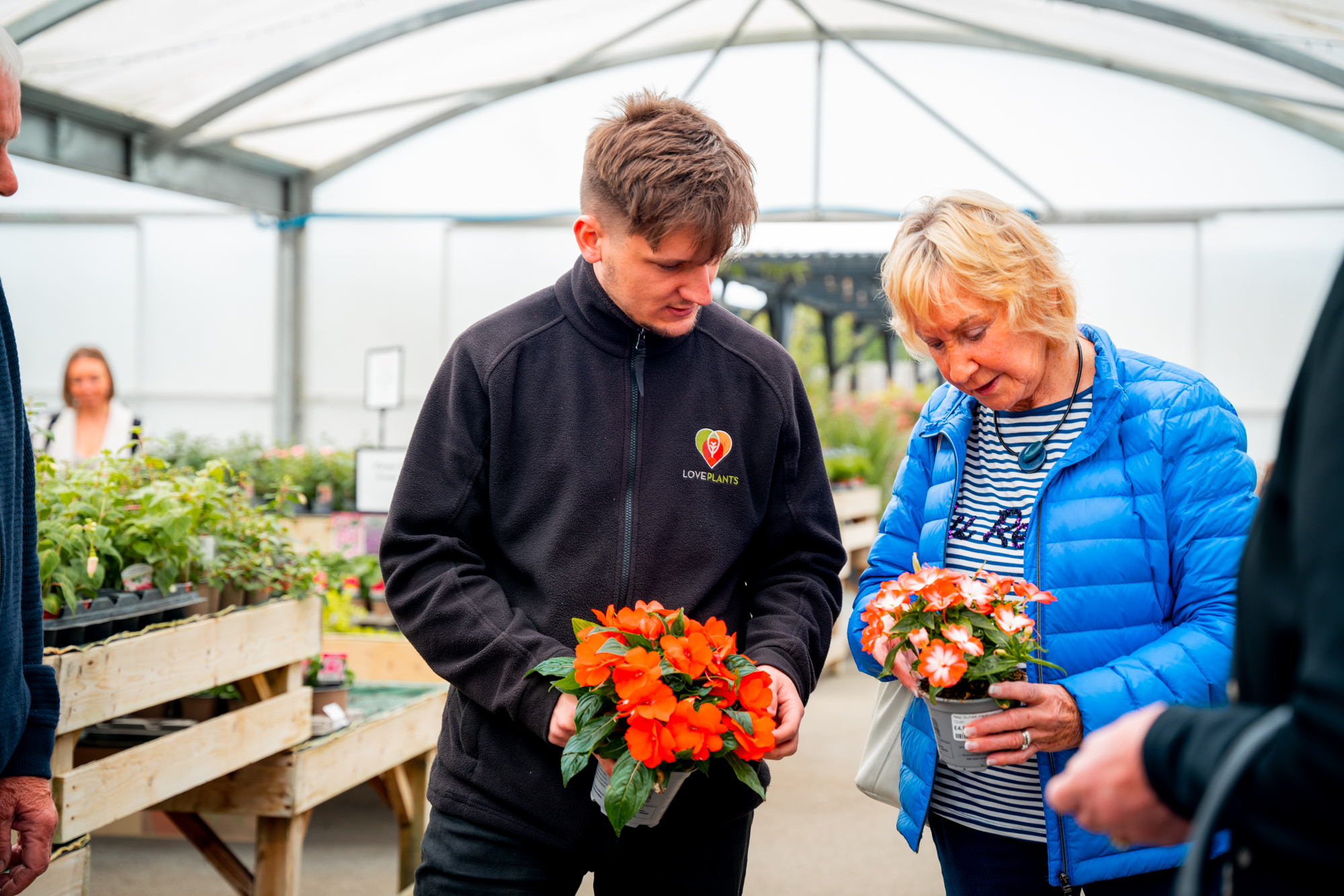 Our Services | Plant & Tree Services Shropshire | LovePlants